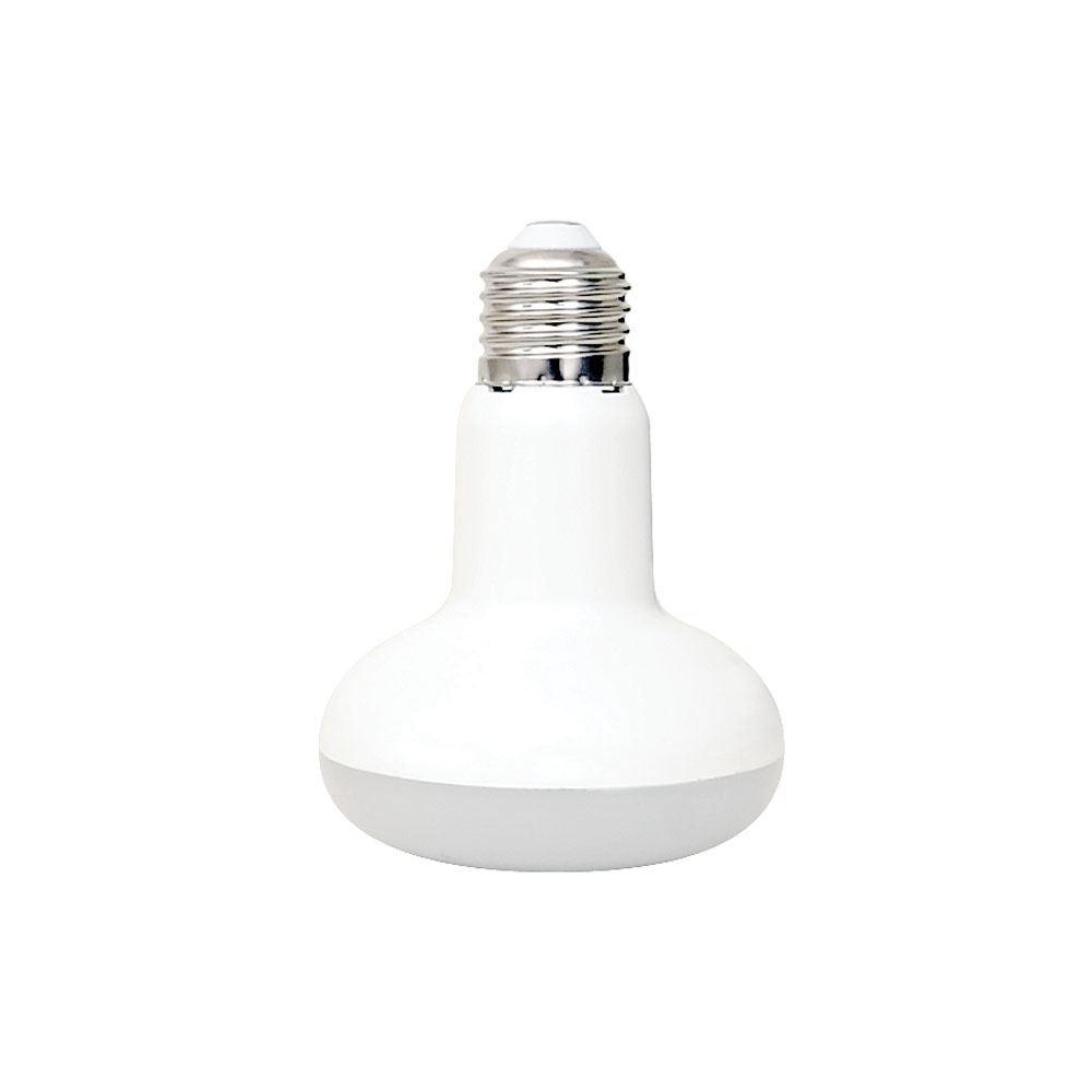 R80 Led Light Bulbs Nz | Shelly Lighting